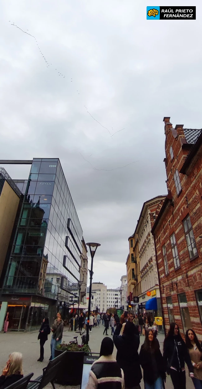 Qué visitar en Malmö