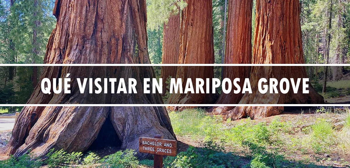 Qué visitar en Mariposa Grove