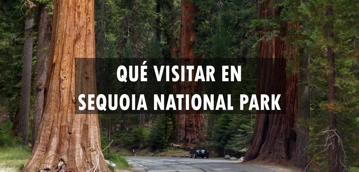 Qué visitar en Sequoia National Park
