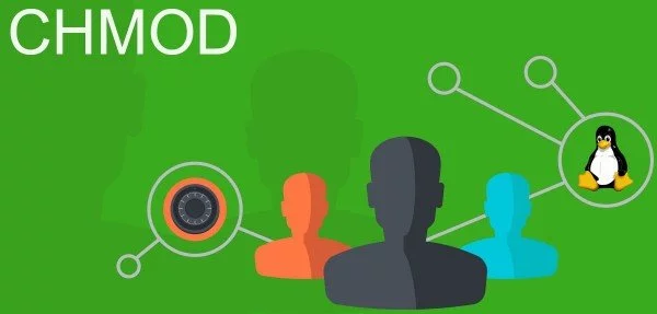 Cómo asignar permisos con CHMOD en GNU/Linux